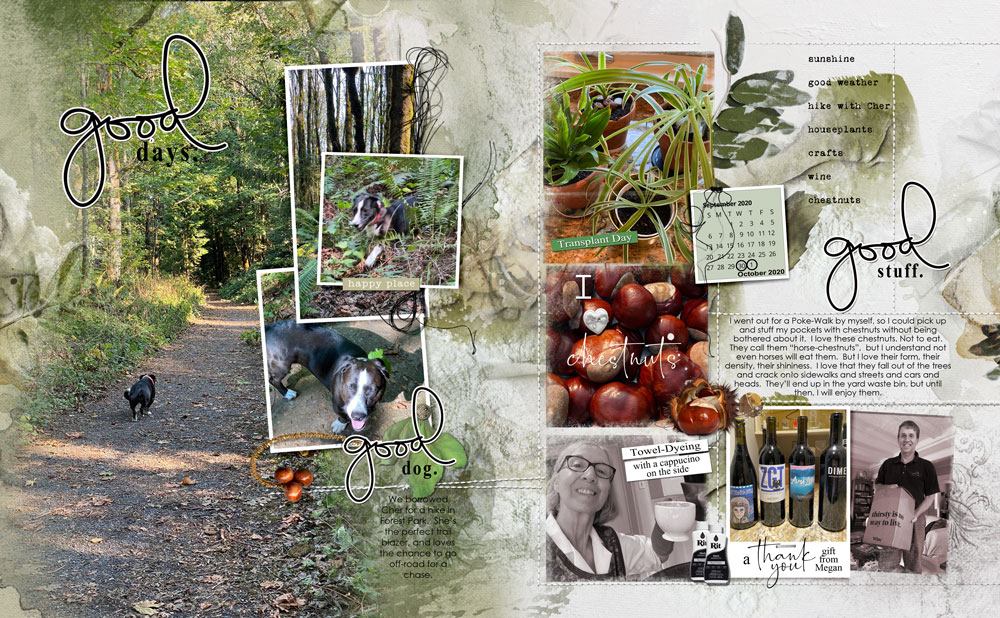 5 Ways to Modify Templates for Rectangle Format - Anna Aspnes Designs